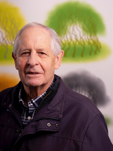 David Nash: Arddangosfa ‘Gweld Coed’ yn Oriel Môn